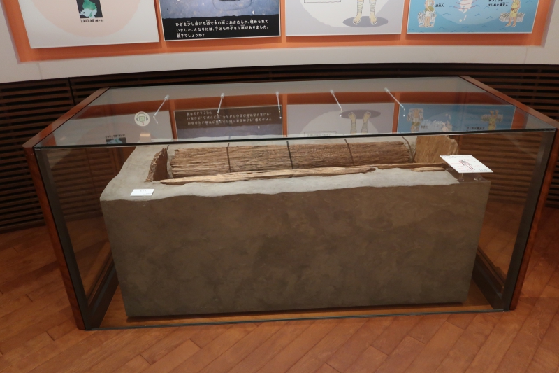 神戸の弥生女性 | 兵庫県立 考古博物館