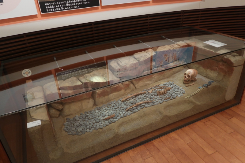 古墳時代の女性リーダー | 兵庫県立 考古博物館